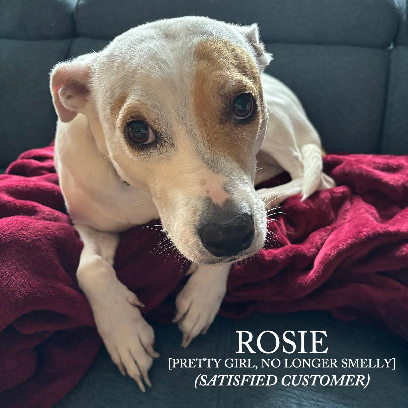 How Poshly Pampered™ Helped Rosie Banish the Skunk Smell – And How You ...